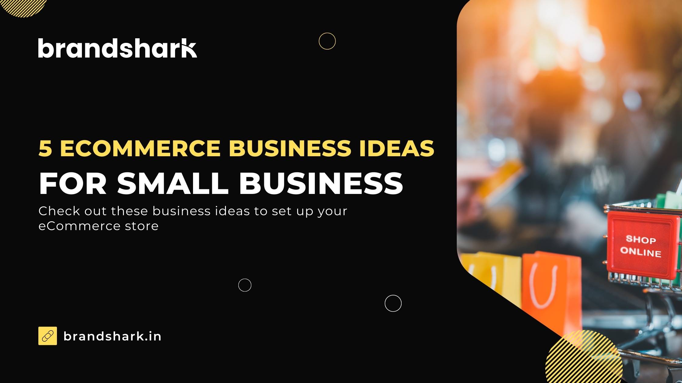 5 Ecommerce Business Ideas to start a company-Brandshark