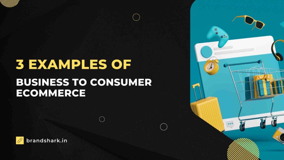 3 Business to Consumer ecommerce examples - Brandshark