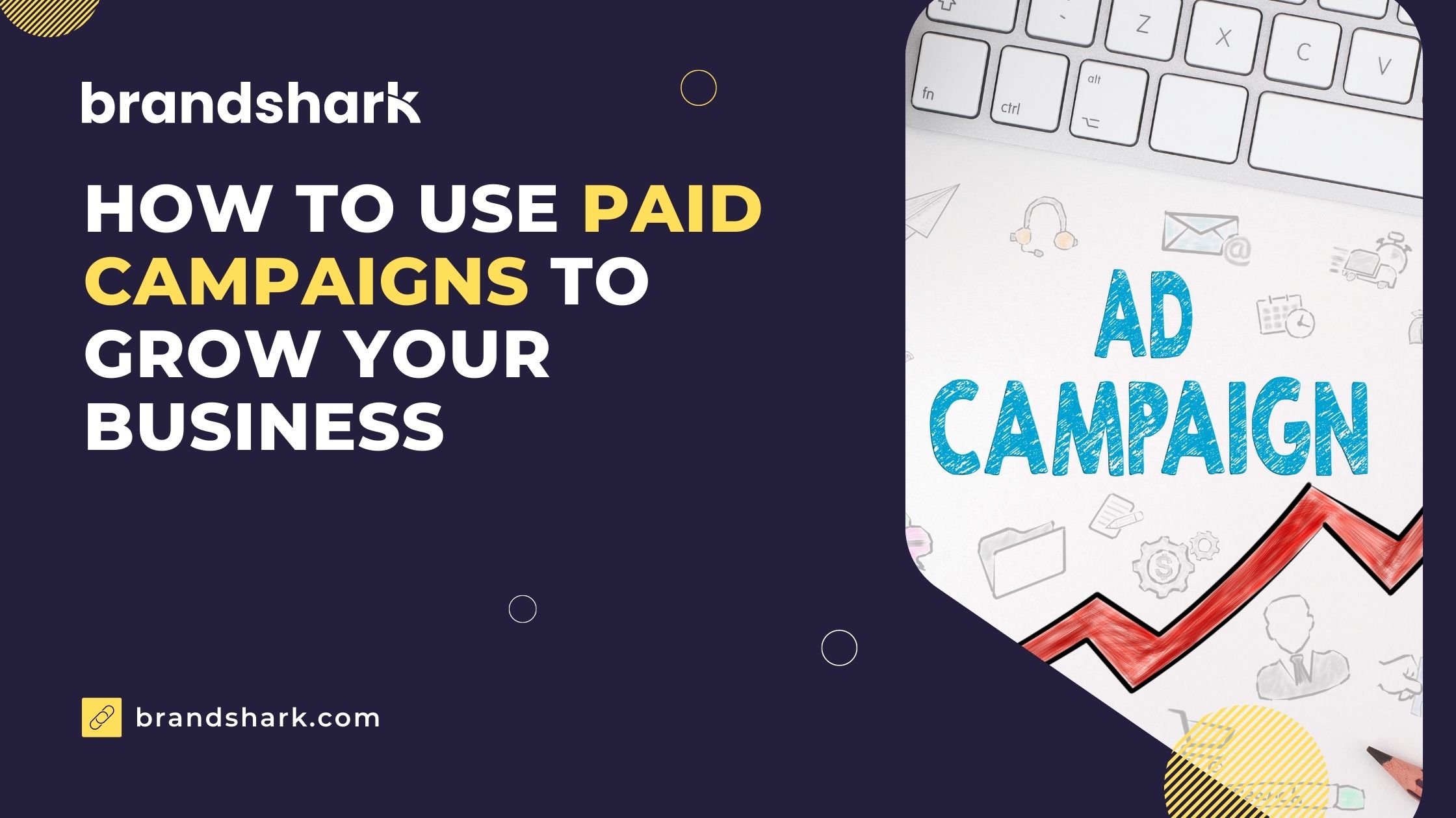 How to Use Paid Campaigns to Grow Your Business