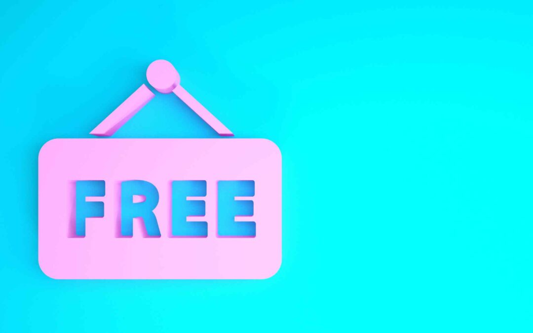 5 Reasons To Avoid Free WordPress Themes