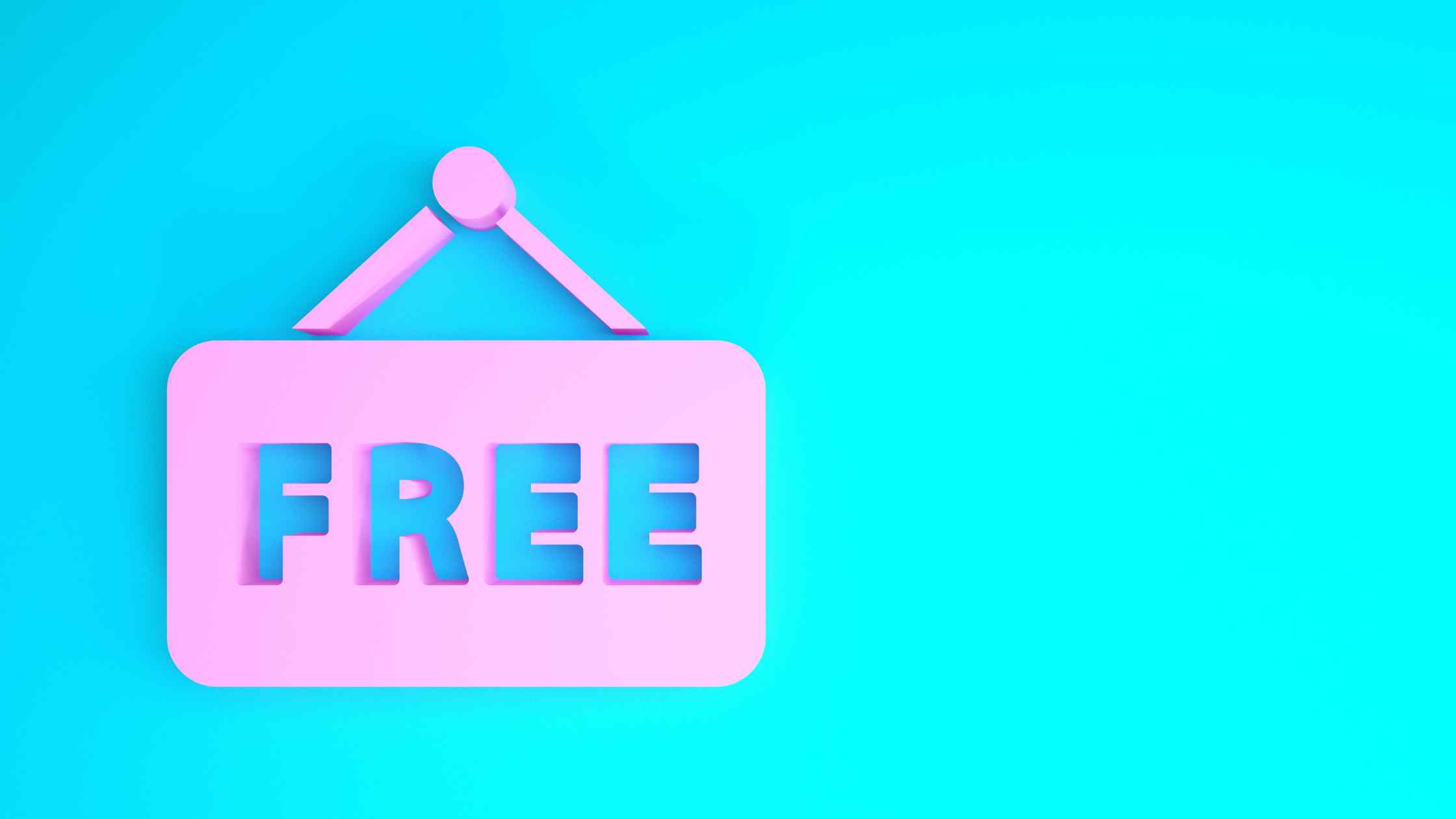5 Reasons To Avoid Free WordPress Themes