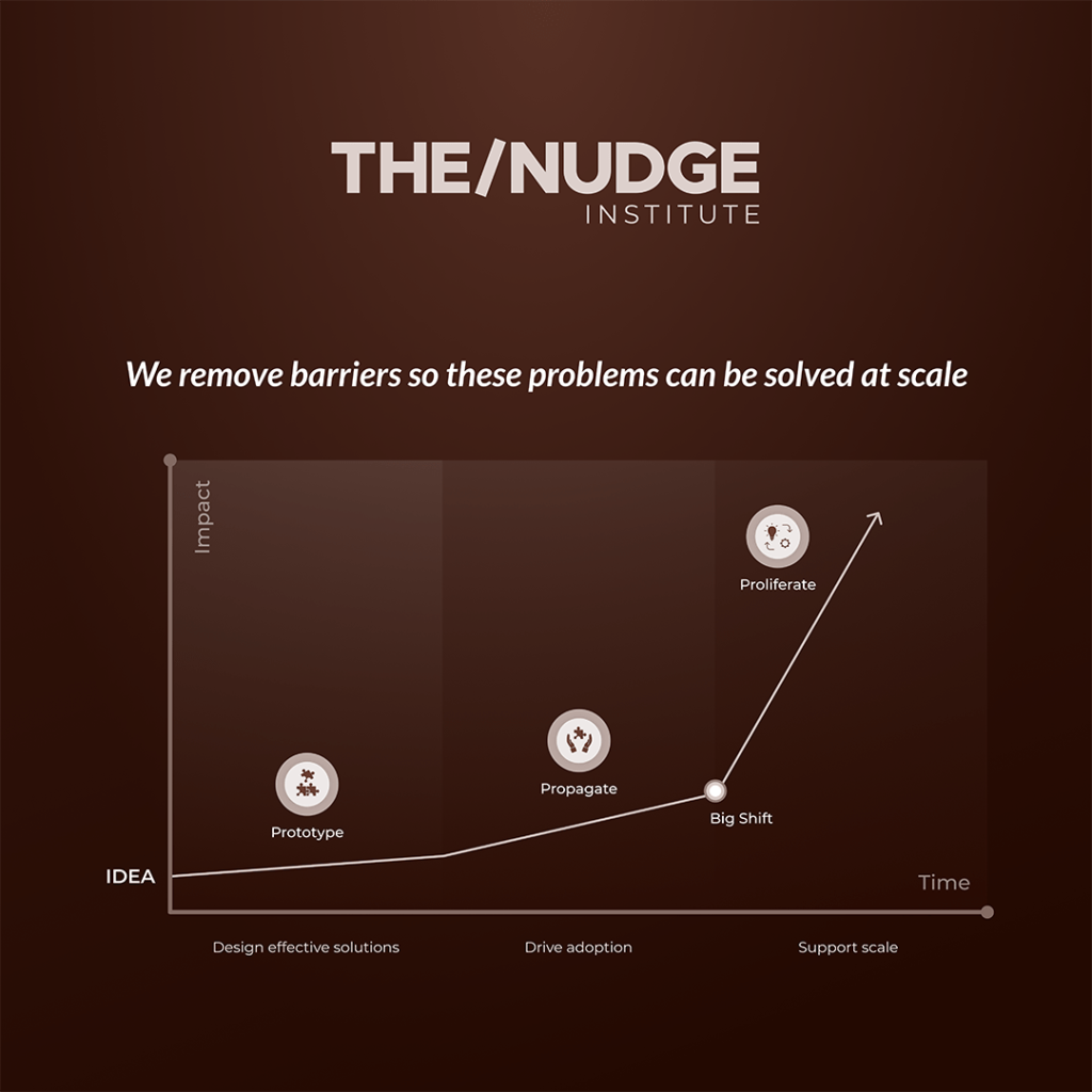 The Nudge website design and development - Brandshark